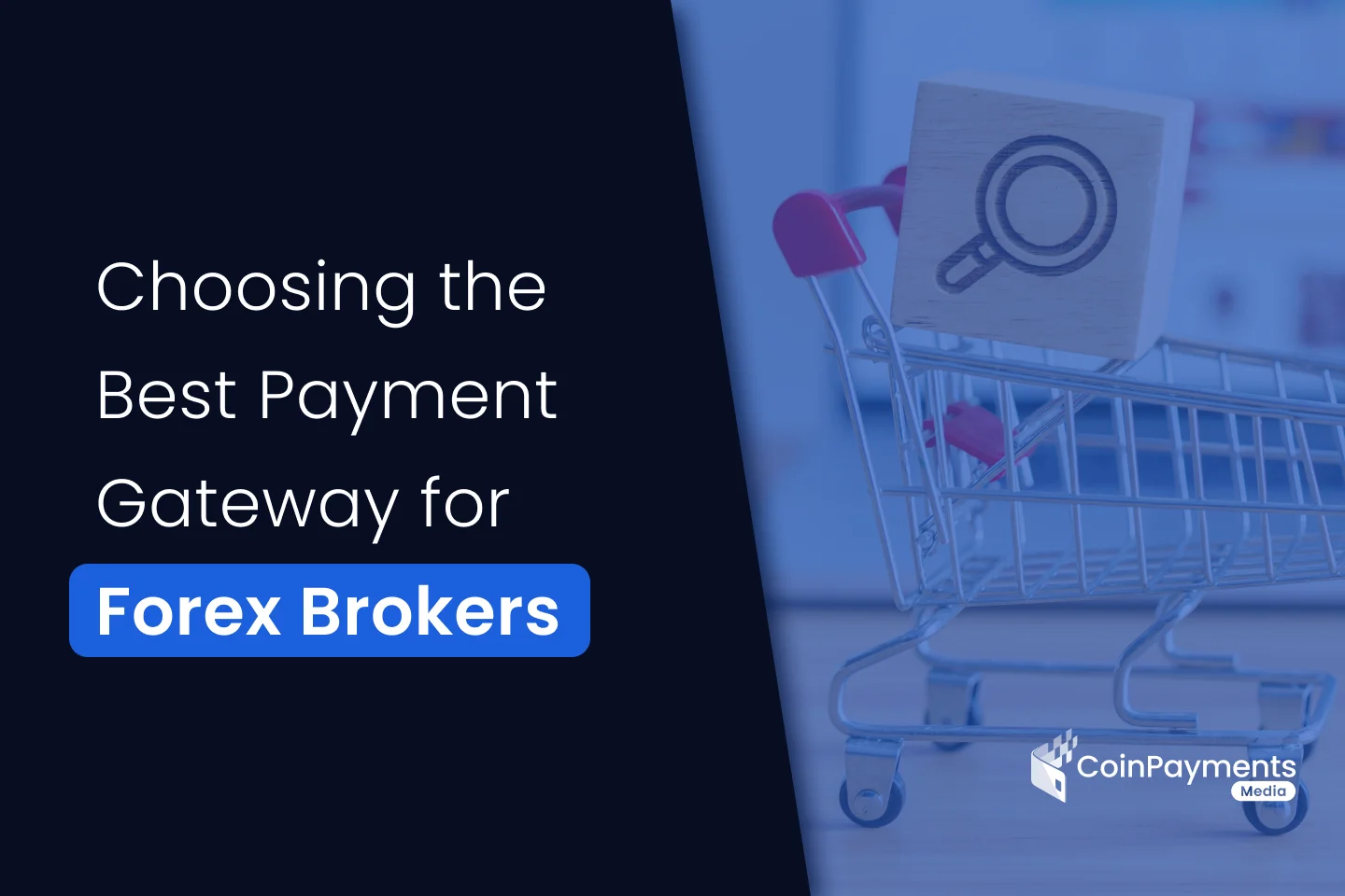 Choosing A Payment Gateway For Forex Brokers | CoinPayments Media
